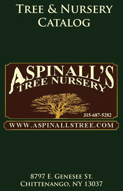 Aspinall's Tree Nursery & Landscaping L.L.C. Serving Syracuse ...